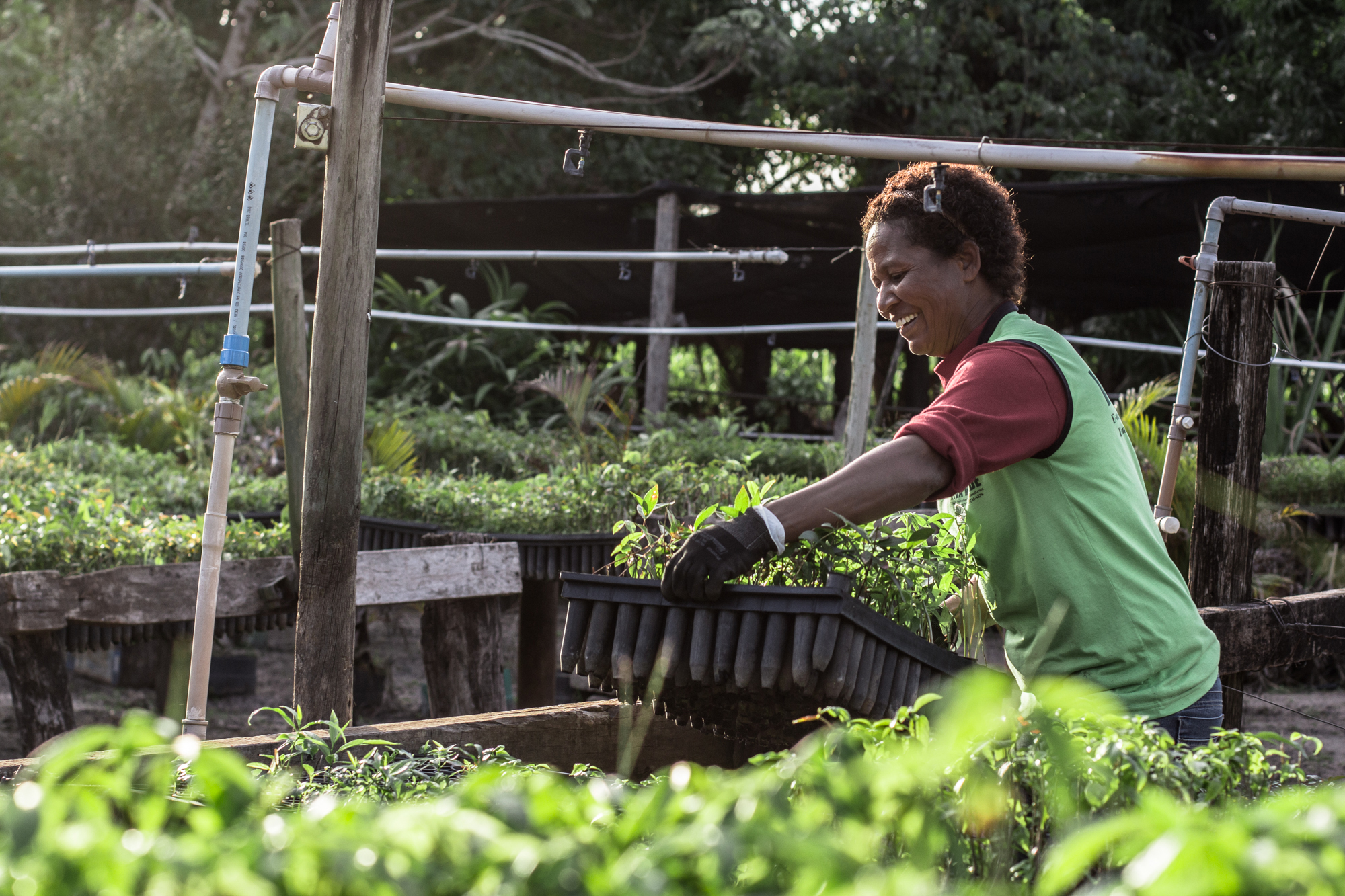 Tree Planting Initiative – GSN